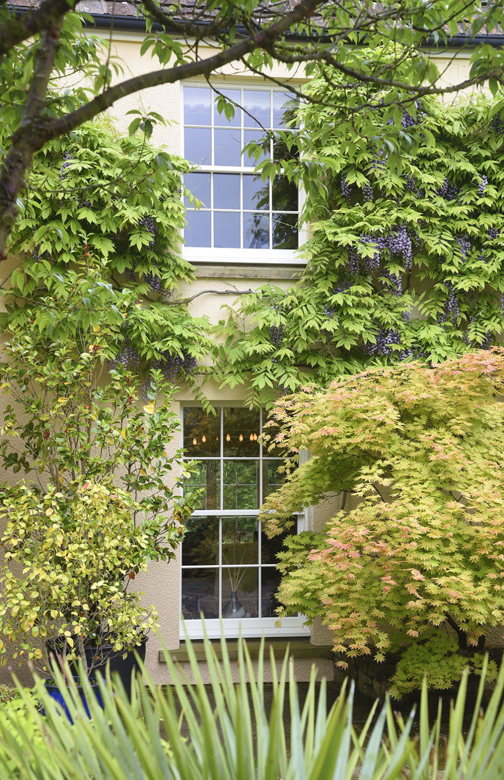Timber Sash Windows | Double Glazed Sash Windows