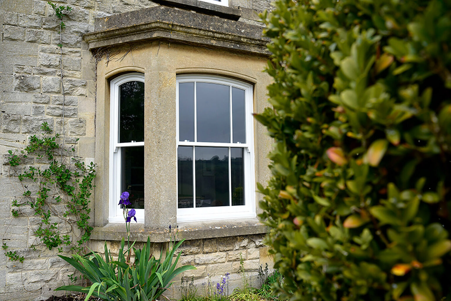 Timber Sash Windows | Double Glazed Sash Windows