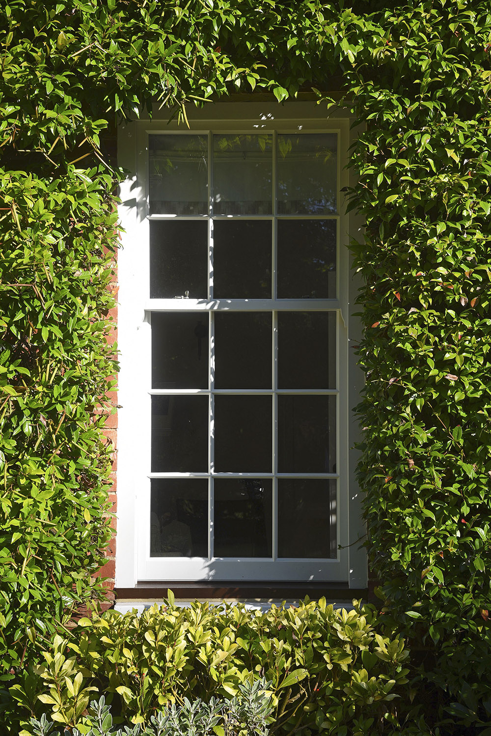 Sash Windows | Timber | Astragal glazing bars | Surrey