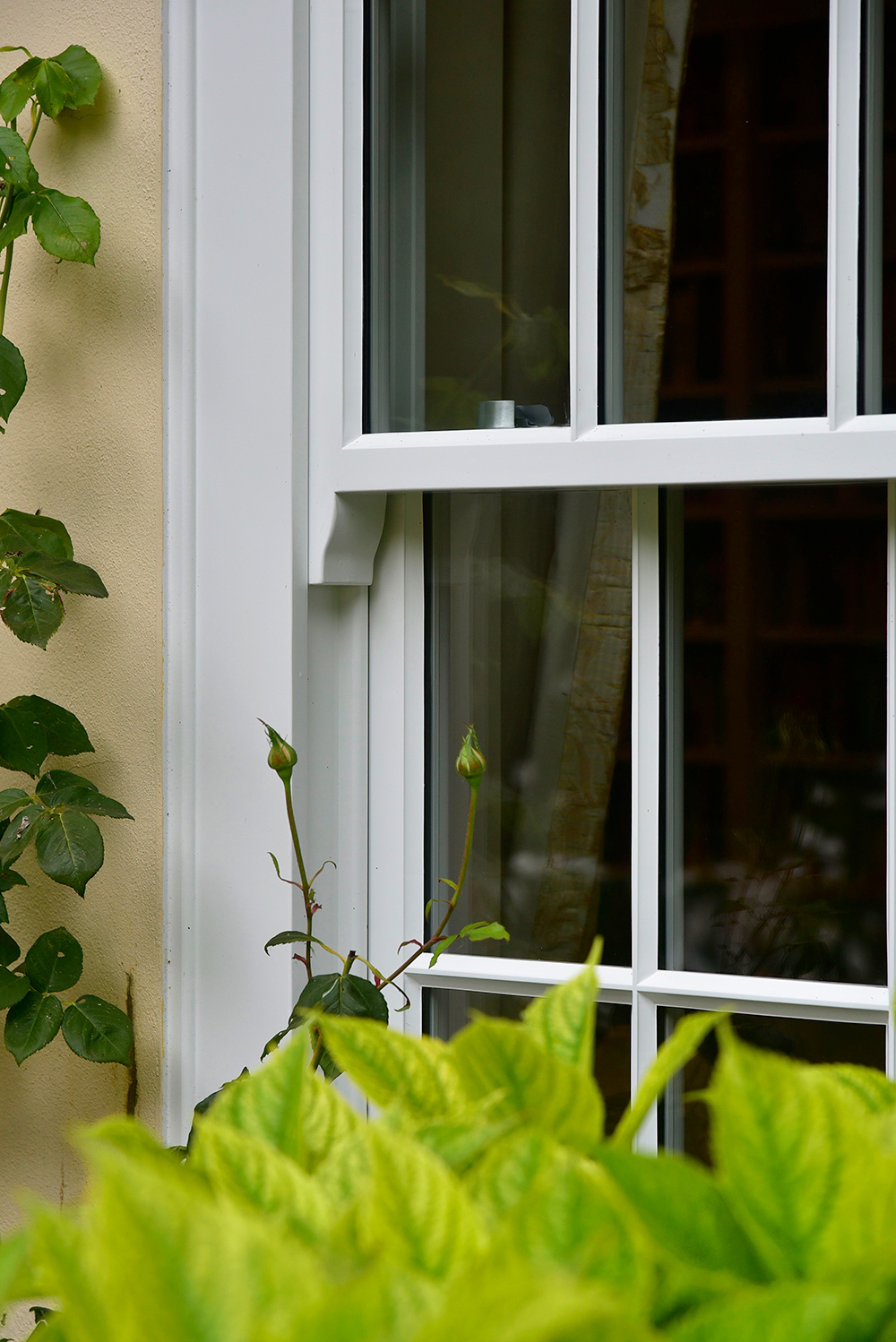 The Benefits of Engineered Timber Windows and Doors - Timber Windows